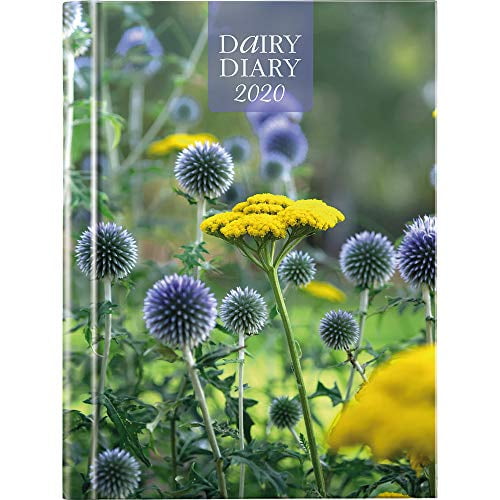 Pre-Owned 2020 Dairy Diary Hardcover - Walmart.com
