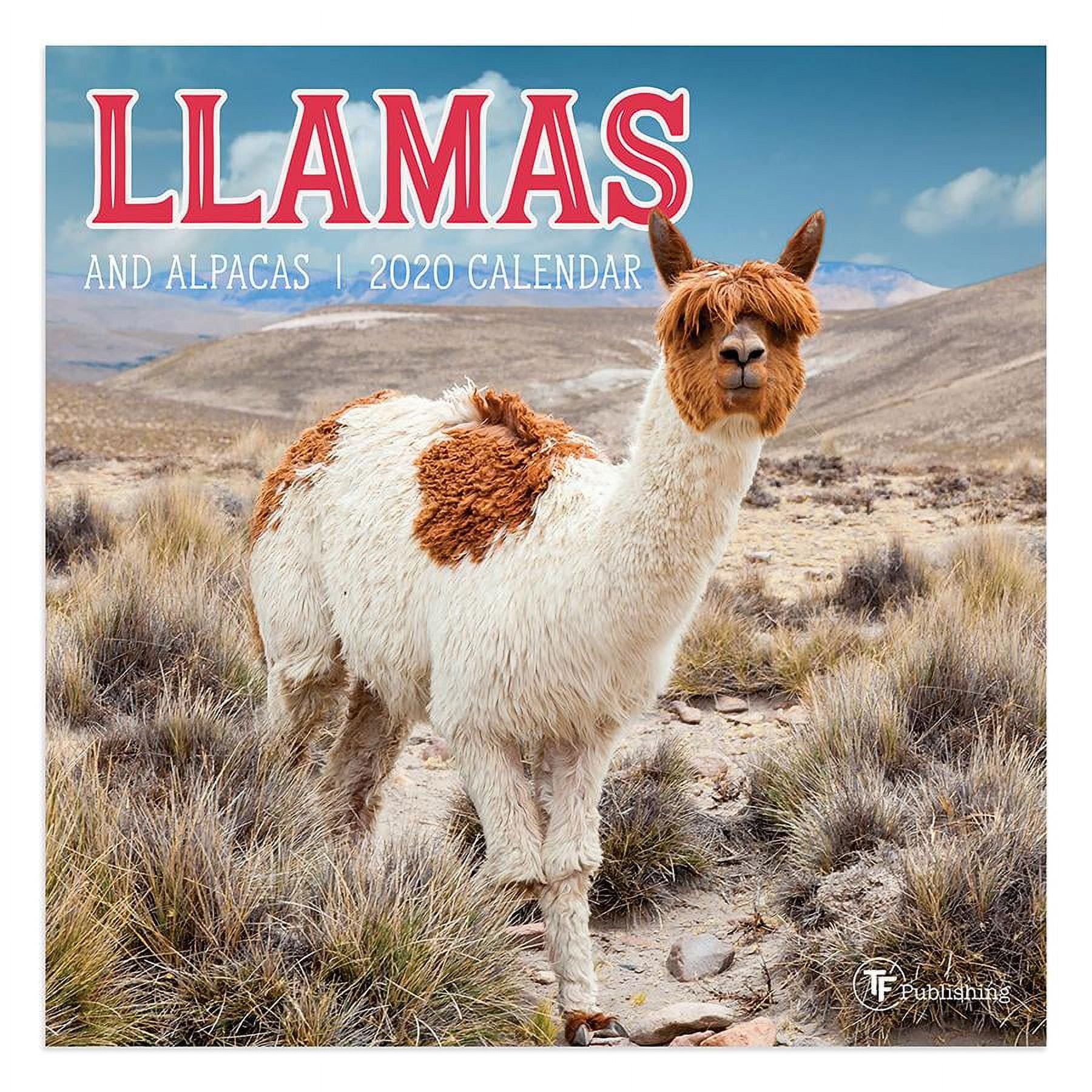 2020 Llamas Mini Calendar - Walmart.com