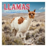 2020 Llamas Mini Calendar - Walmart.com