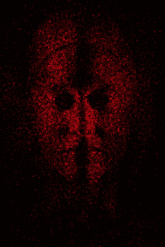 2020 Possessor Movie Poster 24x36 Psychological Horror Sci-Fi Film ...