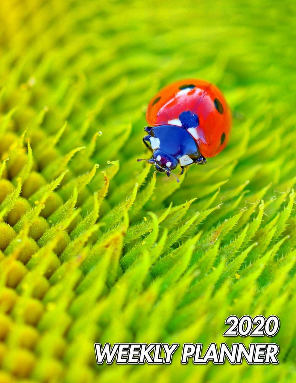 2020 Weekly Planner : Ladybug - Coccinellidae - 2020 Weekly Calendar ...