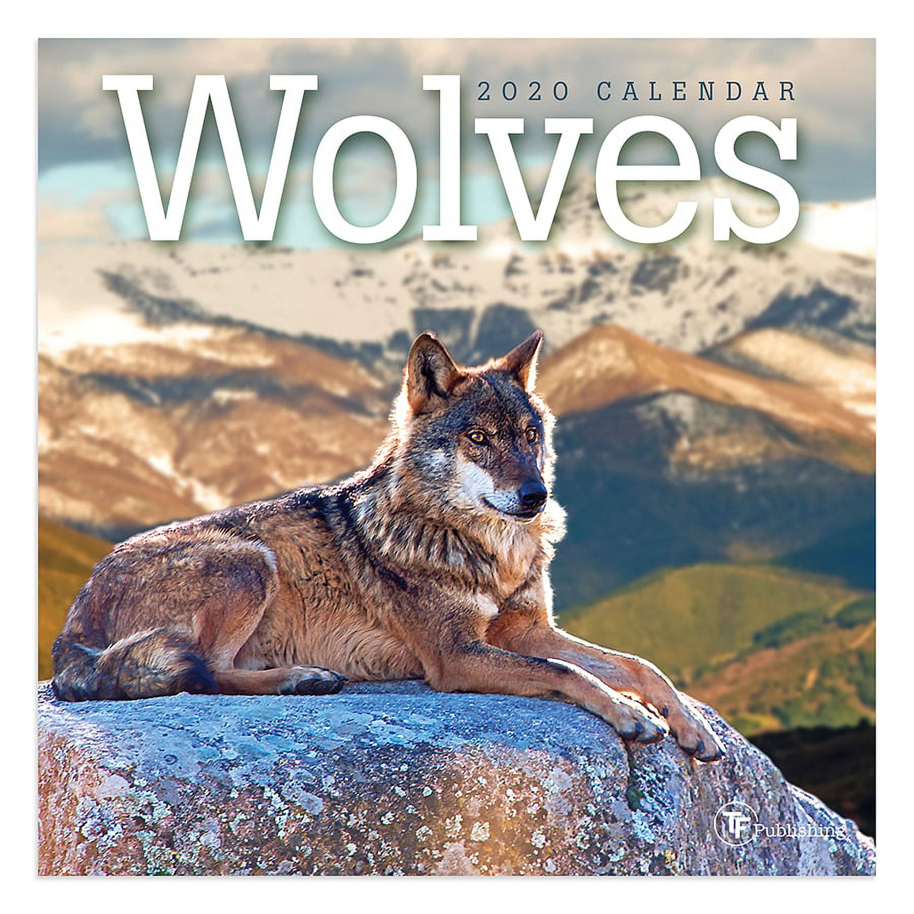 2020 Wolves Mini Calendar - Walmart.com