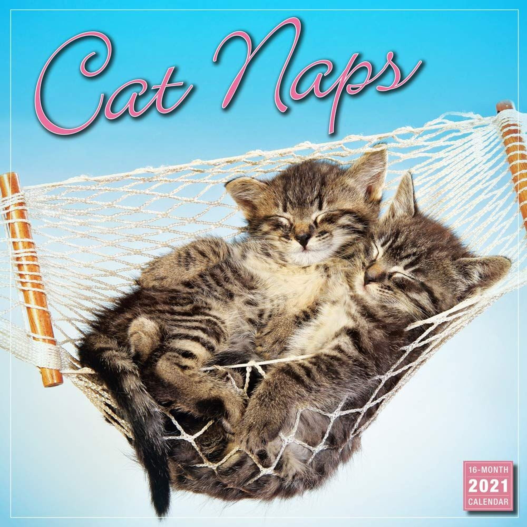 2021 Cat Naps 16-Month Monthly View Wall Calendar by Sellers Publishing ...