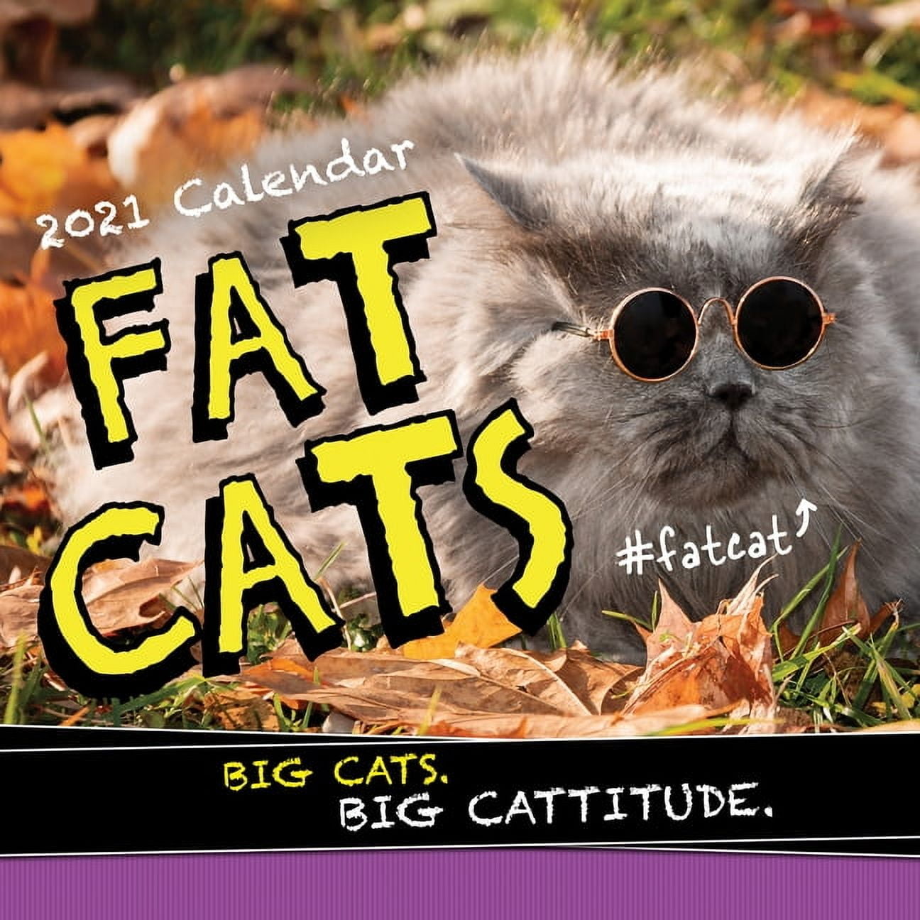 Fat Cats 2021 Calendar : Big Cats. Big Cattitude. - Walmart.com