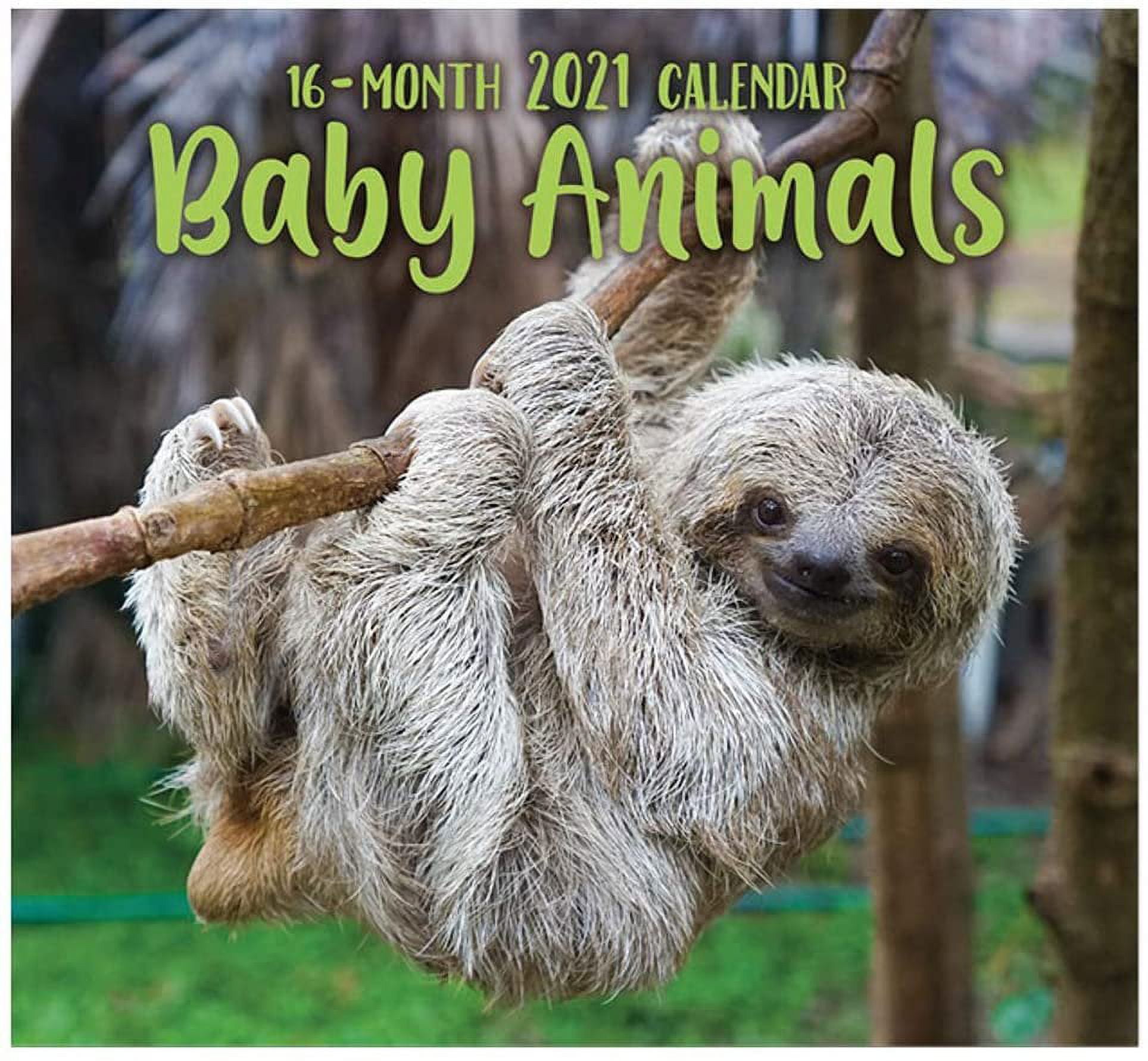 2021 Full-Size Wall Calendar, 16-Month (Baby Animals) - Walmart.com