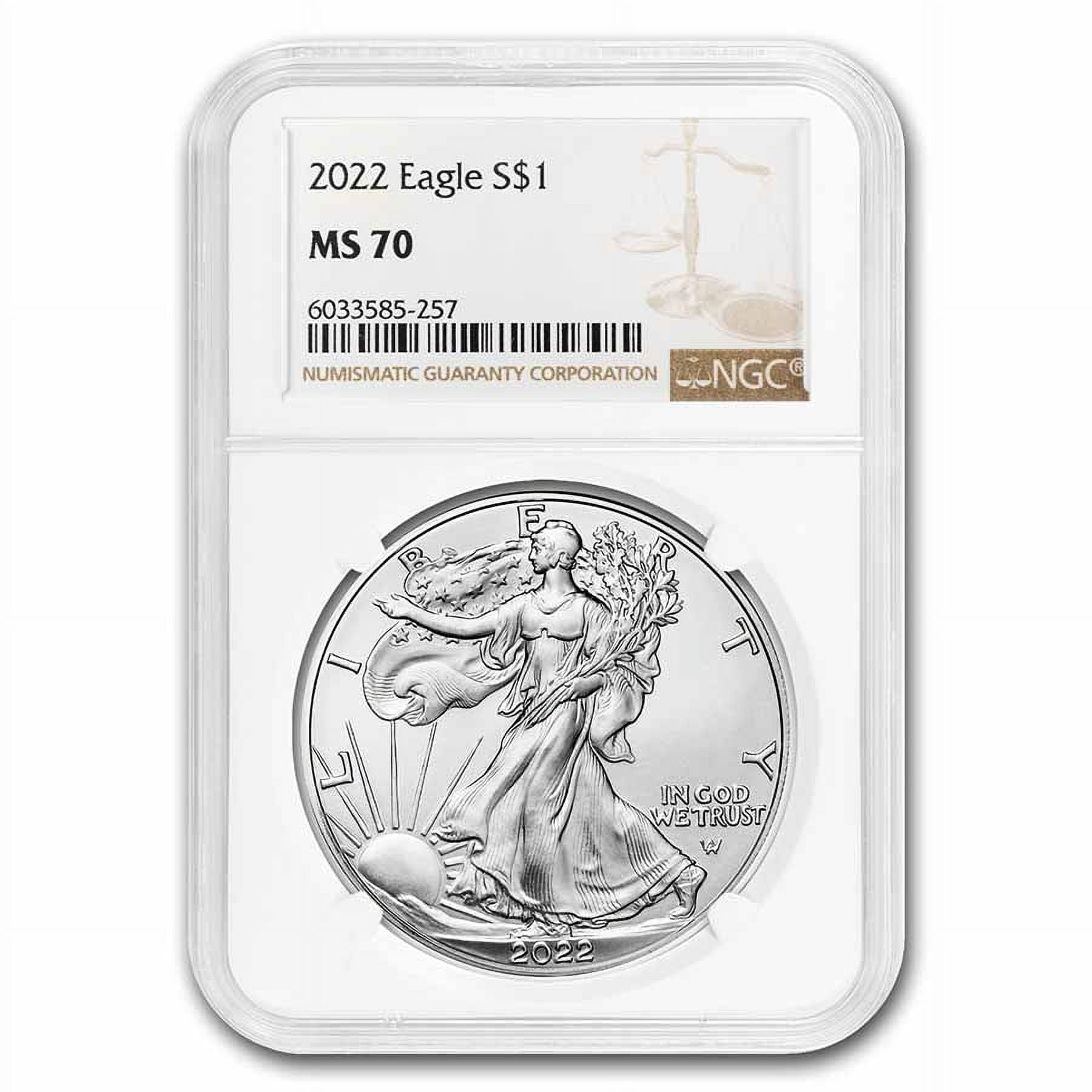 2022 American Silver Eagle MS-70 NGC - Value Bullion Coin - Walmart.com