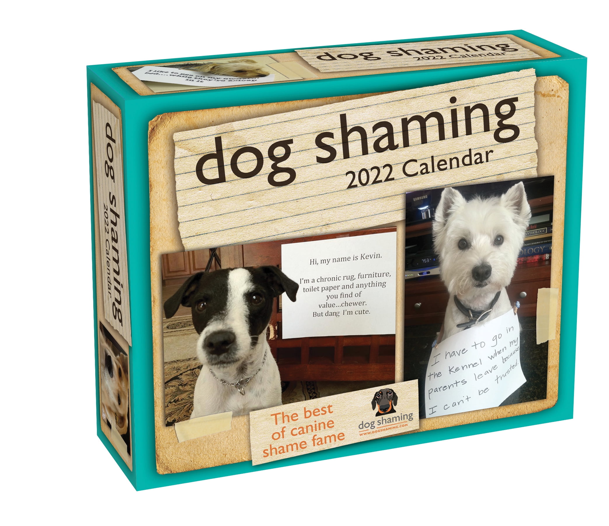2022 Dog Shaming 5 237" x 6 182" Day-to-Day Calendar by Andrews McMeel ...