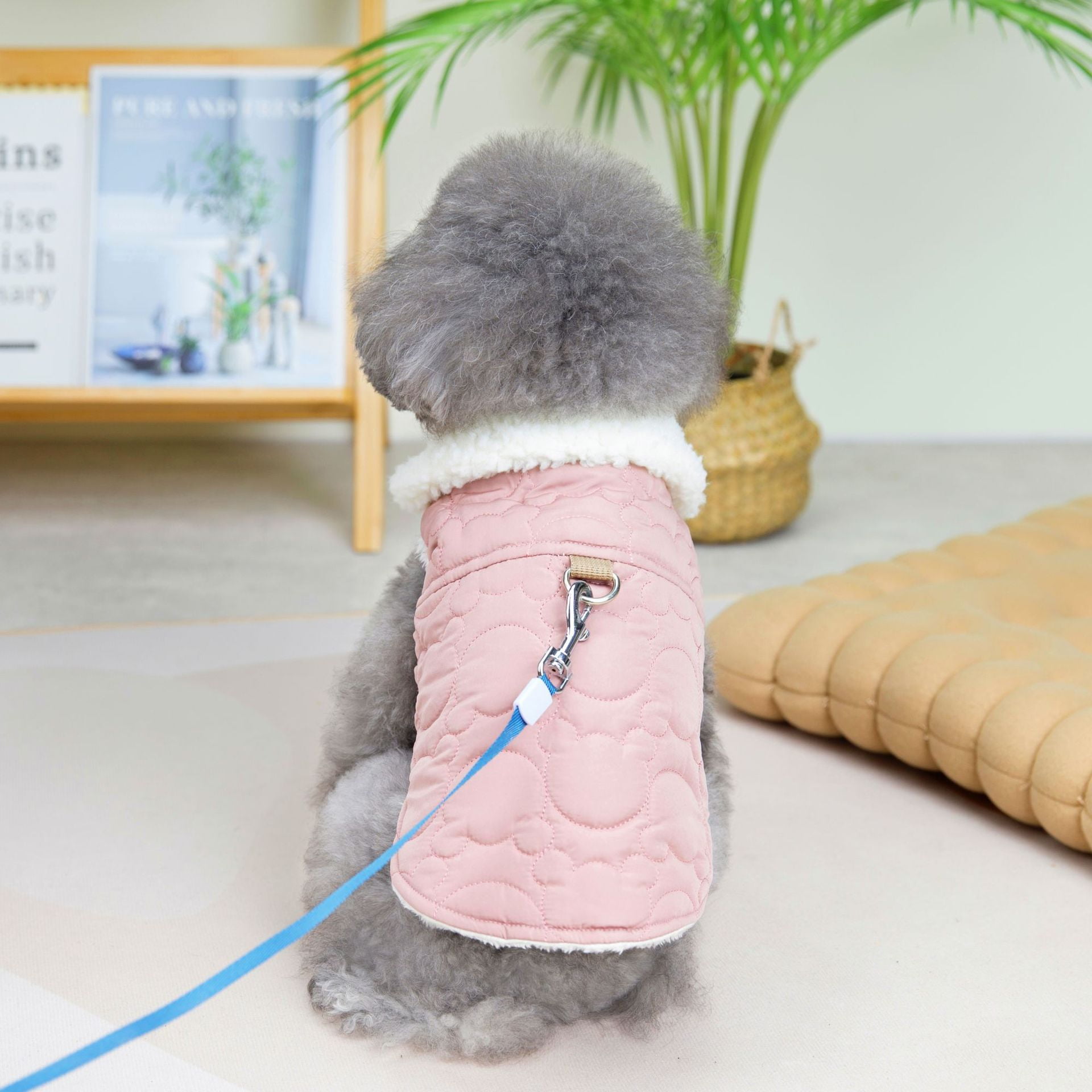 2022 Leg Solid Color Small And Medium Dog Cotton Clothes Nini Textile ...
