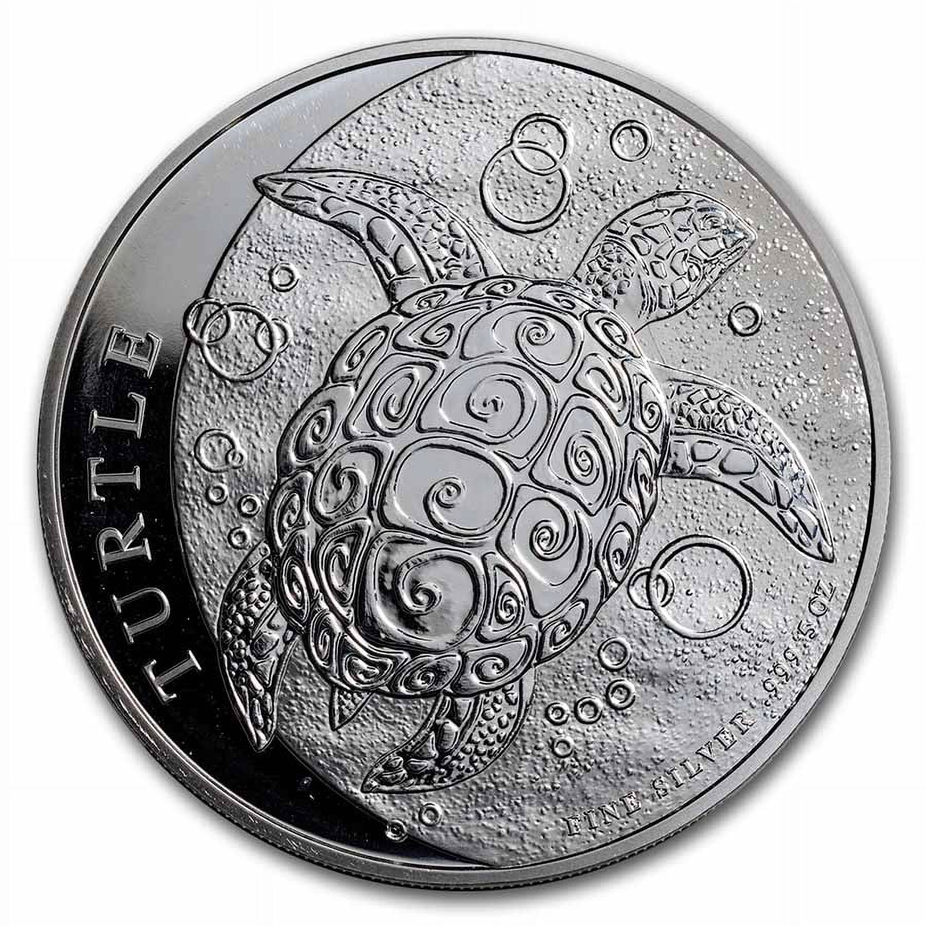 2022 Niue 5 oz Silver $10 Hawksbill Turtle BU - Walmart.com