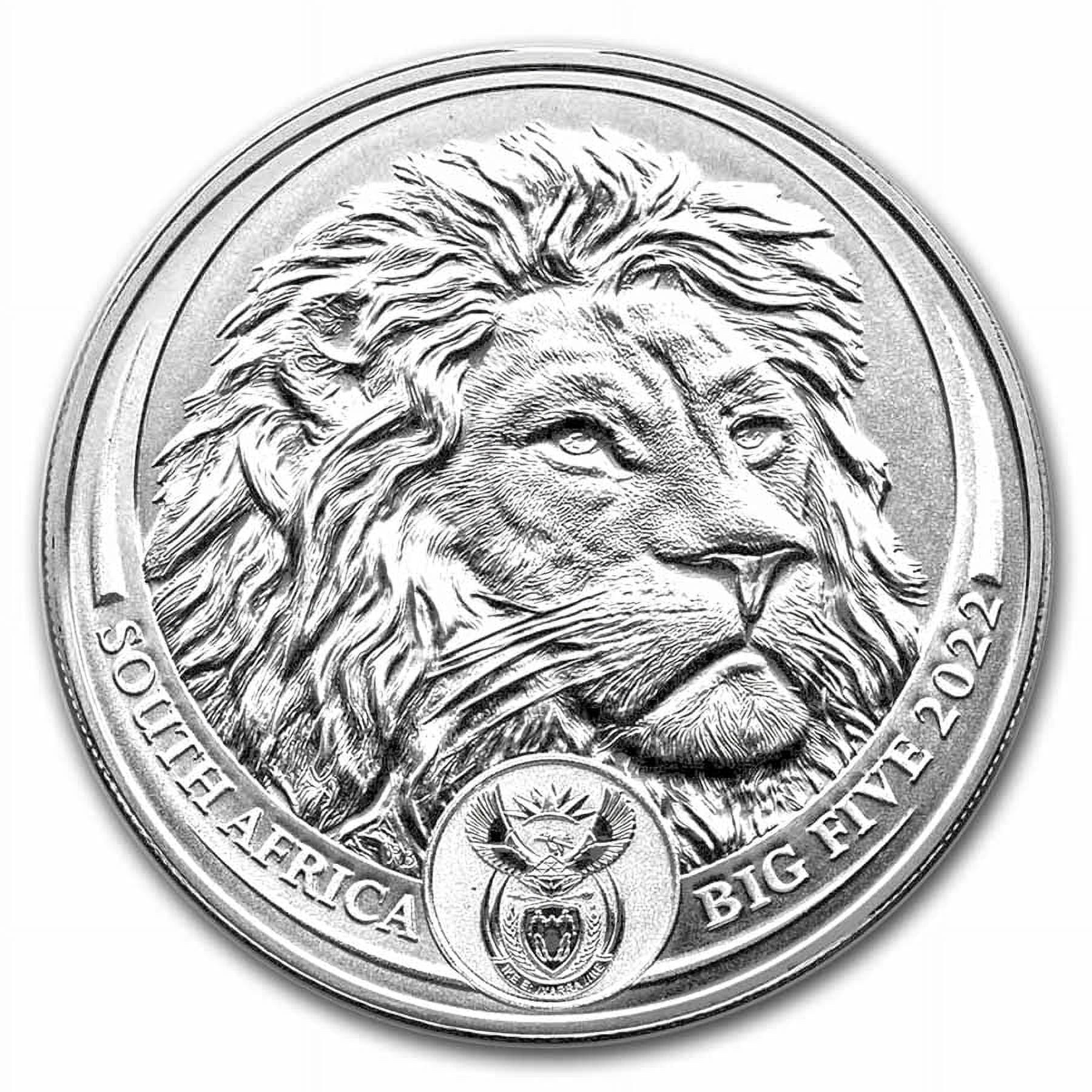 2022 South Africa 5 oz Silver Big Five Lion Proof - Walmart.com