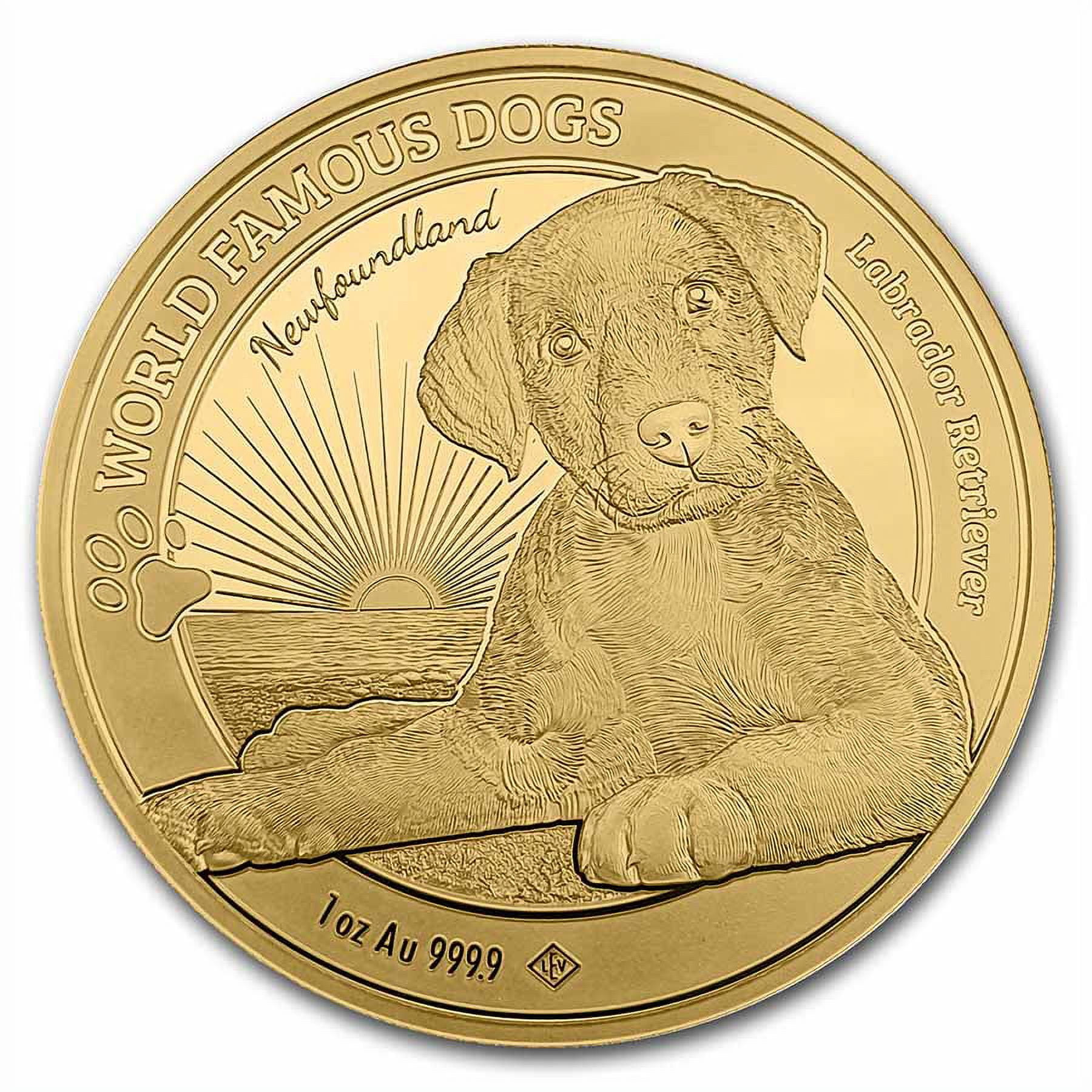 2023 1 oz Gold World Famous Dogs - Labrador Retriever - Walmart.com