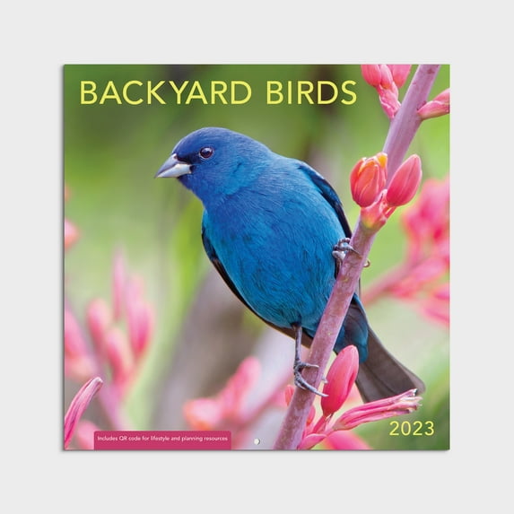 2023-12 Month Calendar-Back yard Birds 12x12 Hanging Wall Calendar by ...