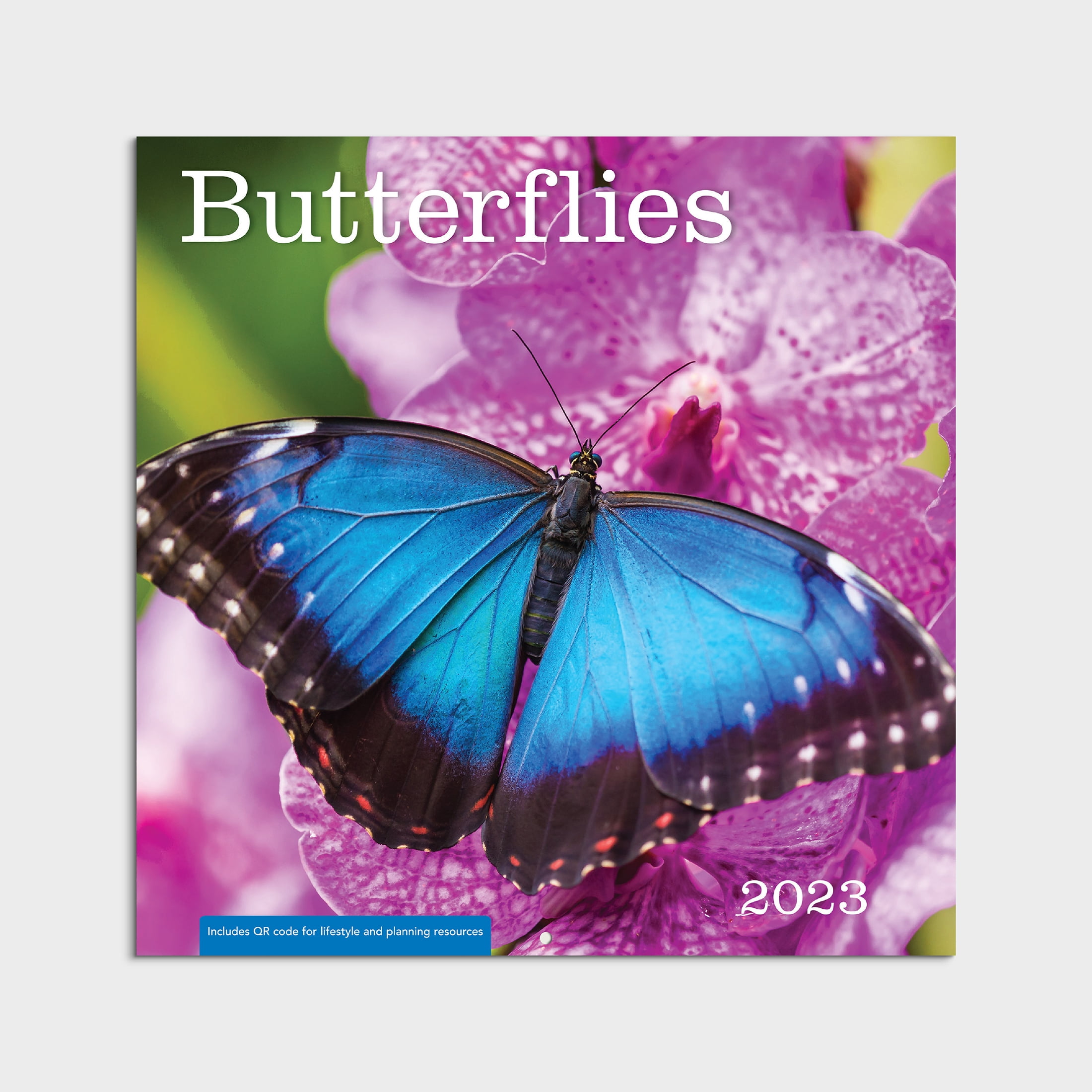 2023 - 12 Month Calendar-Butterfly- 12x12 Hanging Wall Calendar by ...