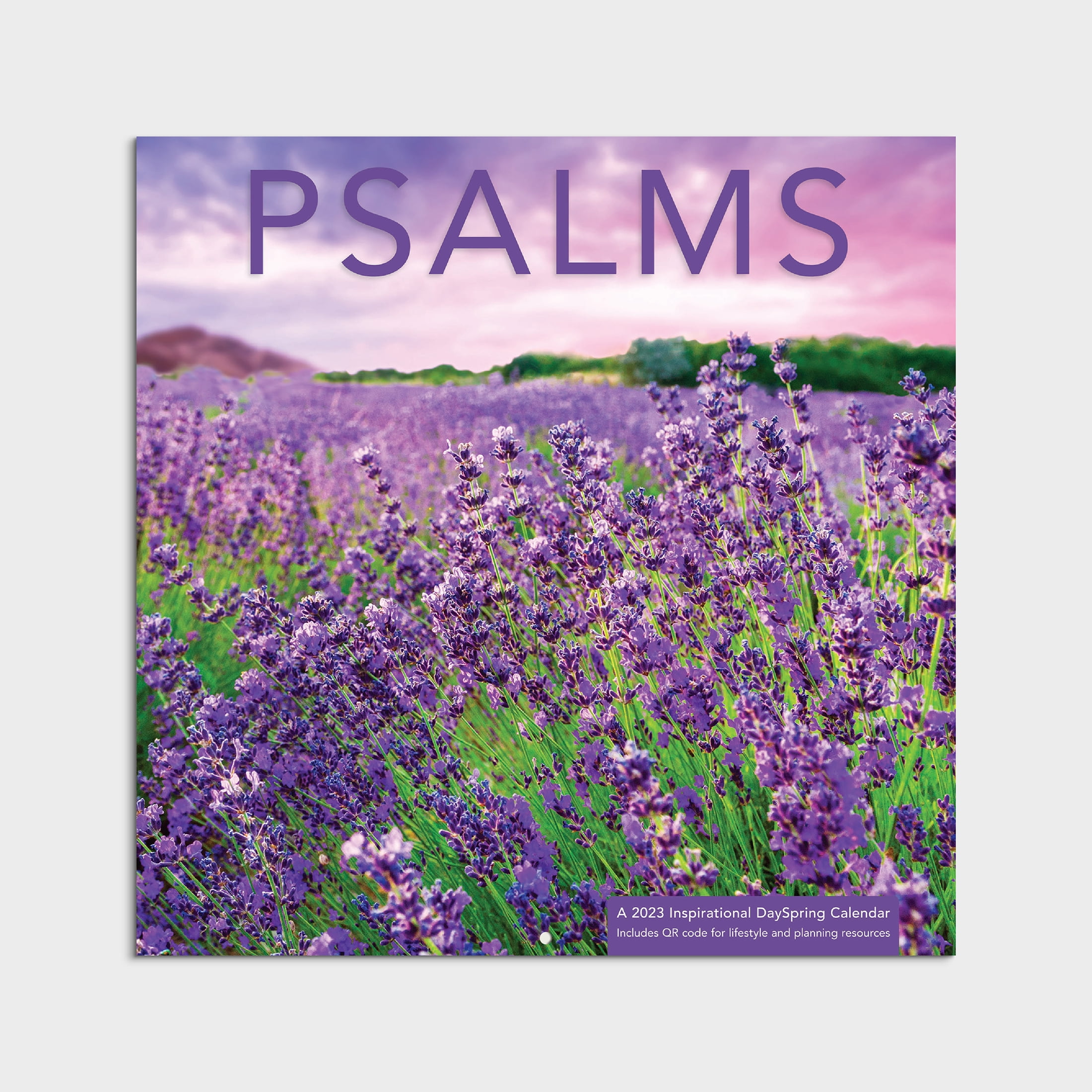 2023- 12 Month Calendar-Psalms 12x12 Hanging Wall Calendar by Dayspring ...