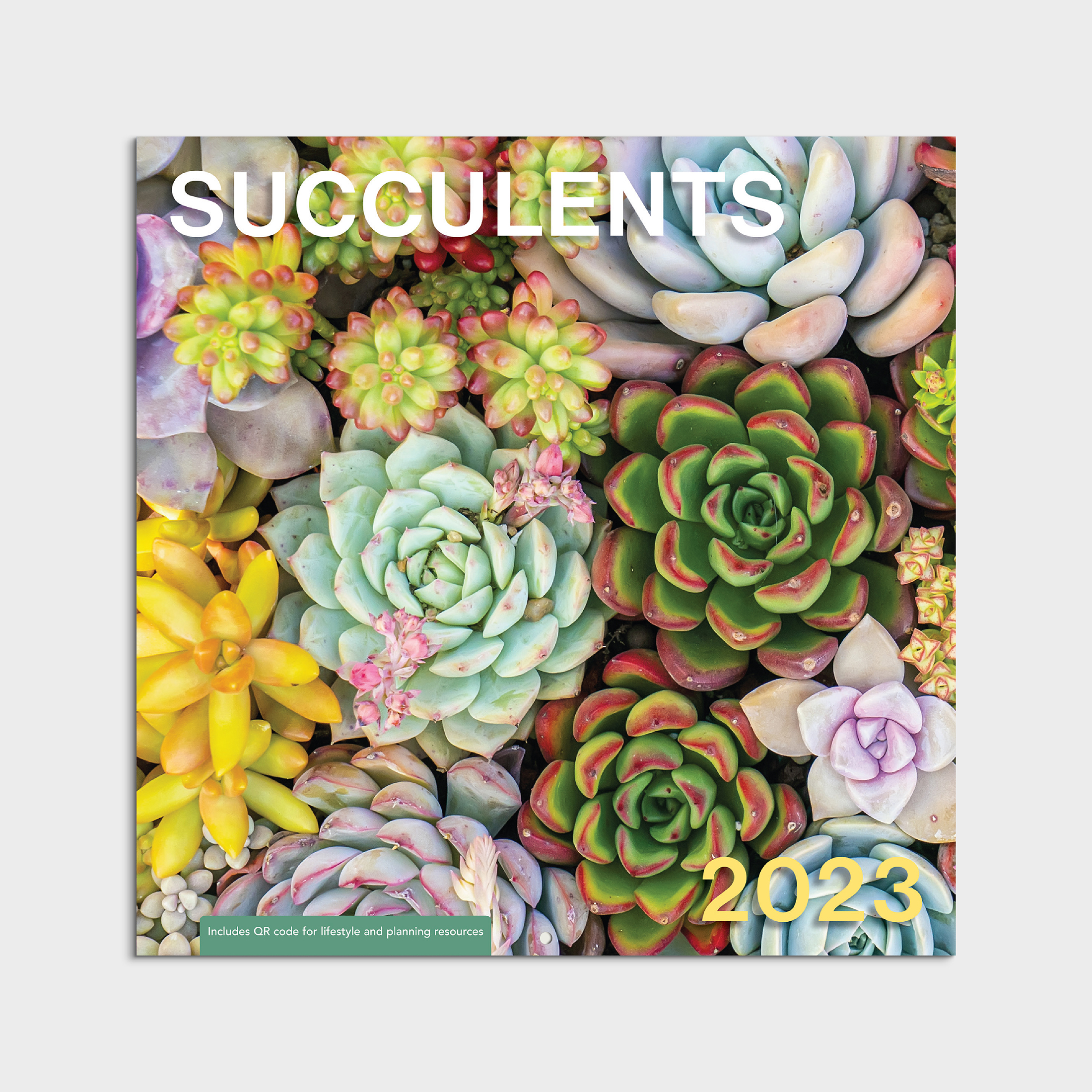 2023 - 12 Month Calendar-Succulents- 12x12 Hanging Wall Calendar by ...
