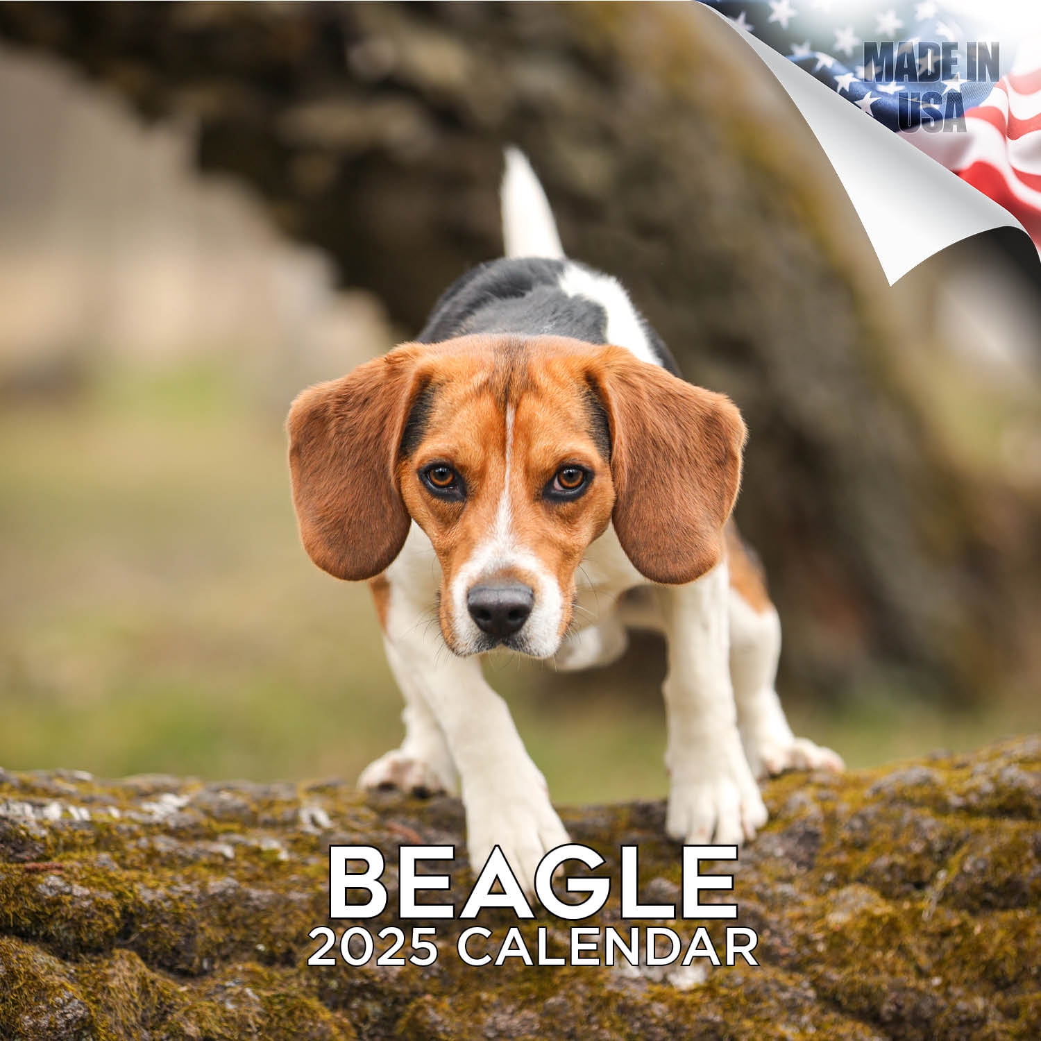 2024 2025 Beagle Calendar - Dog Breed Monthly Wall Calendar - 12 x 24 ...