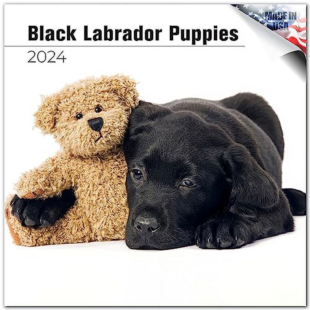 2023 2024 Black Labrador Puppies Calendar - Dog Breed Monthly Wall ...