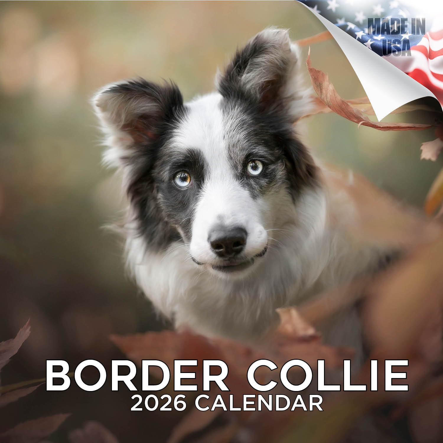 Border Collie Calendar 2020 - Dog Breed Calendar - Wall Calendar 2019 ...
