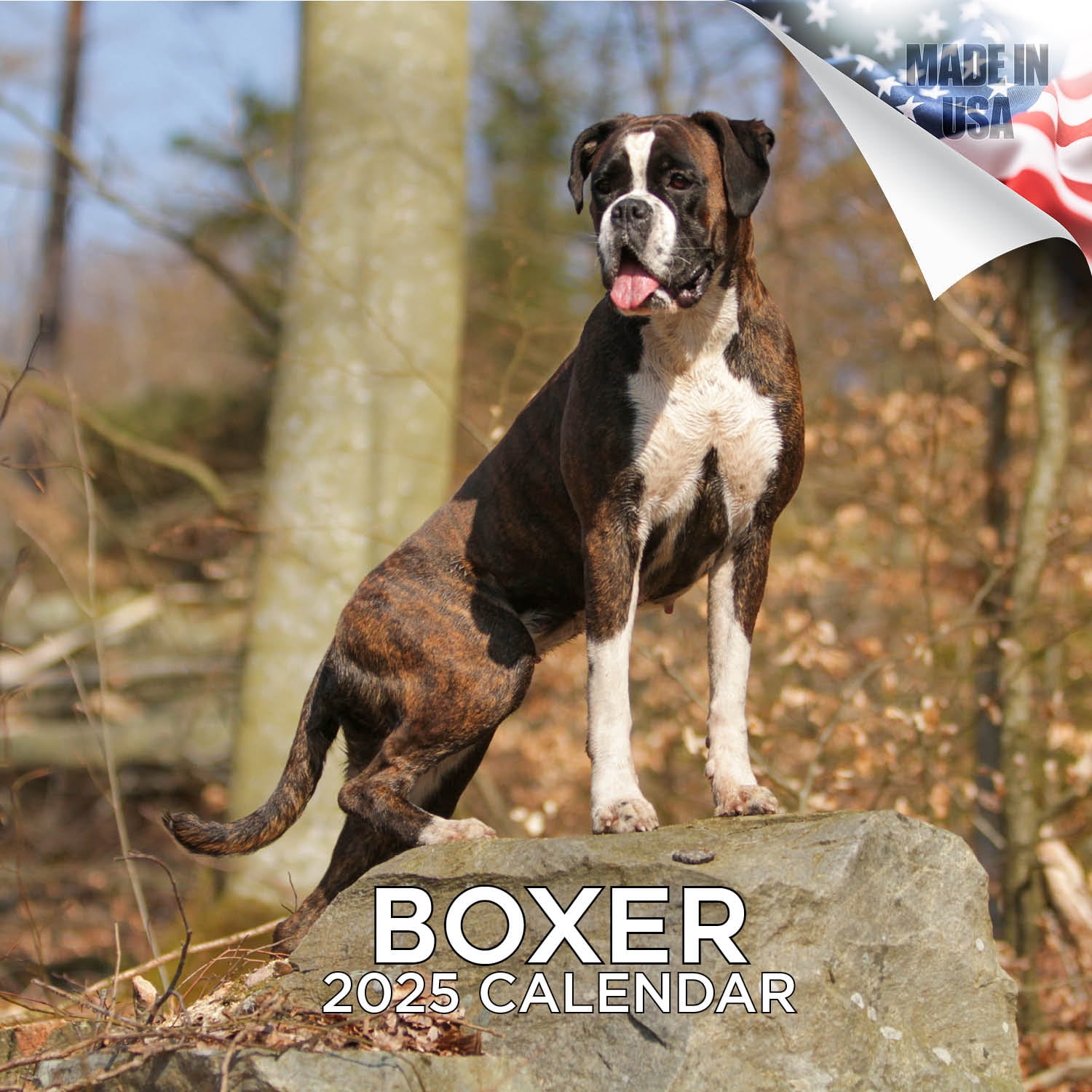 Boxer Calendar