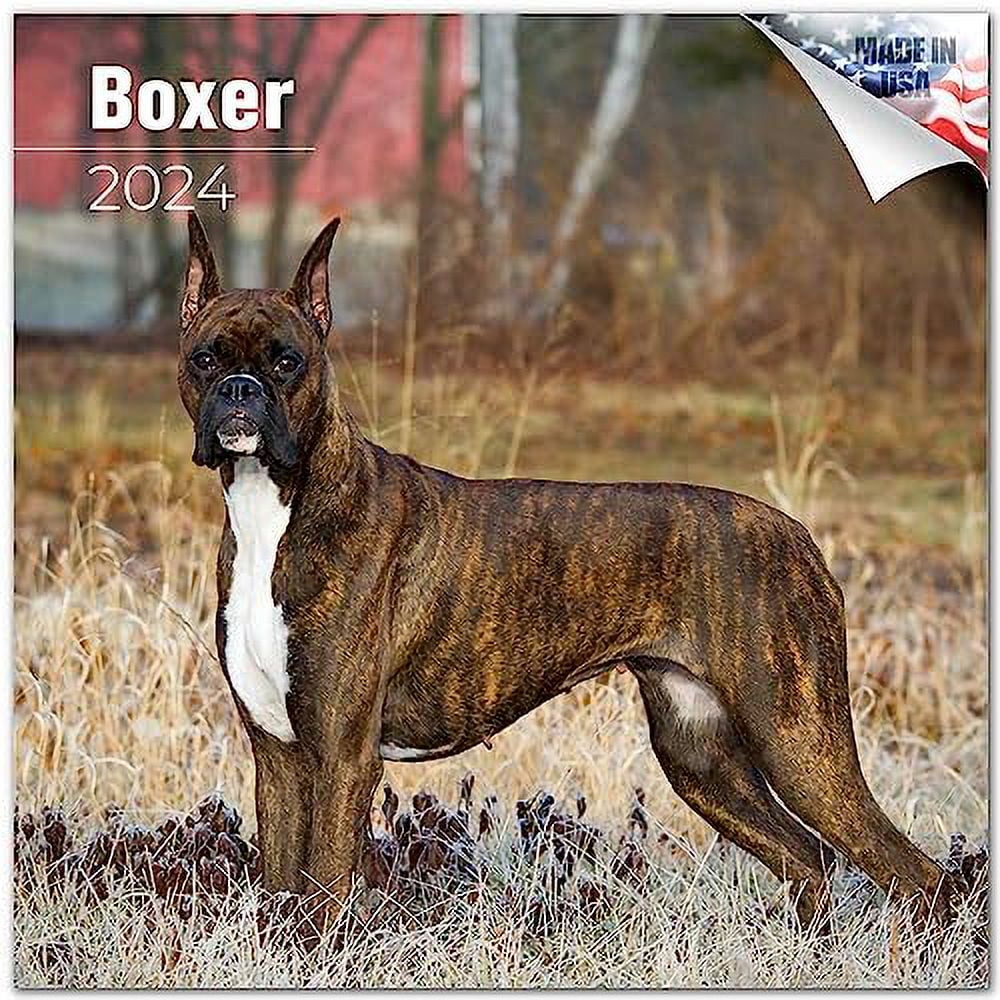 2023 2024 Boxer Calendar - Dog Breed Monthly Wall Calendar - 12 x 24 ...