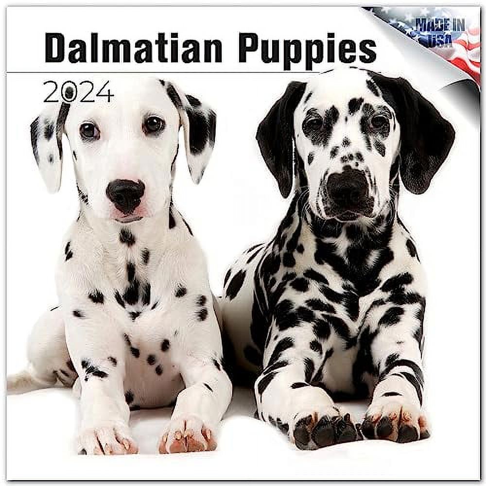 2023 2024 Dalmatian Puppies Calendar - Dog Breed Monthly Wall Calendar ...