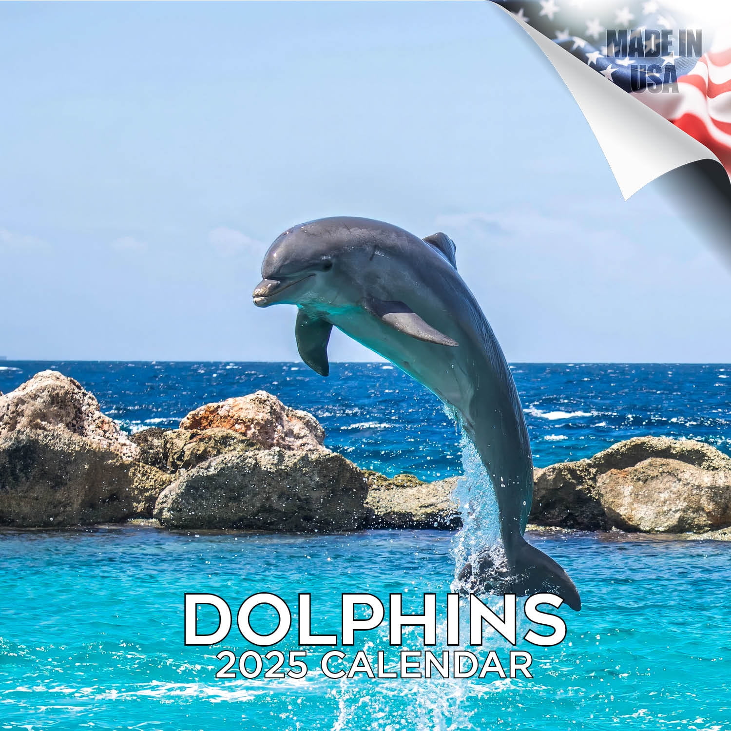 2024 2025 Dolphins Calendar - Cute Animal Sealife Monthly Wall Calendar ...
