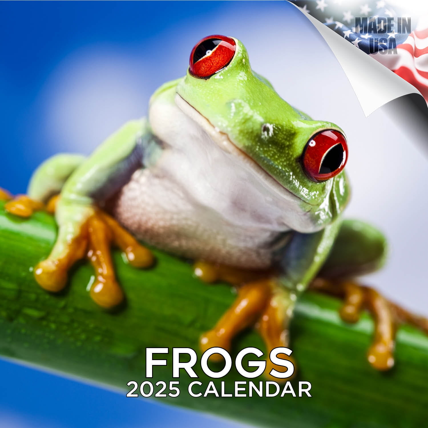 2024 2025 Frogs Calendar - Cute Animal Bird Monthly Wall Calendar - 12 ...