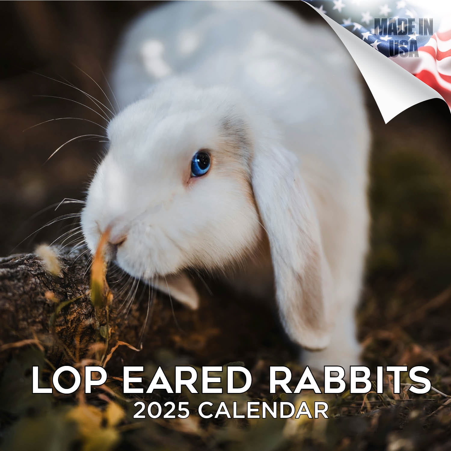 2024 2025 Lop Eared Rabbit Calendar - Cute Animal Monthly Wall Calendar ...