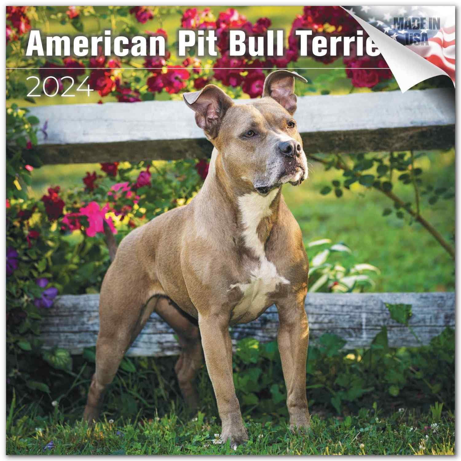 2023 2024 Pitbull Calendar - Dog Breed Monthly Wall Calendar - American ...