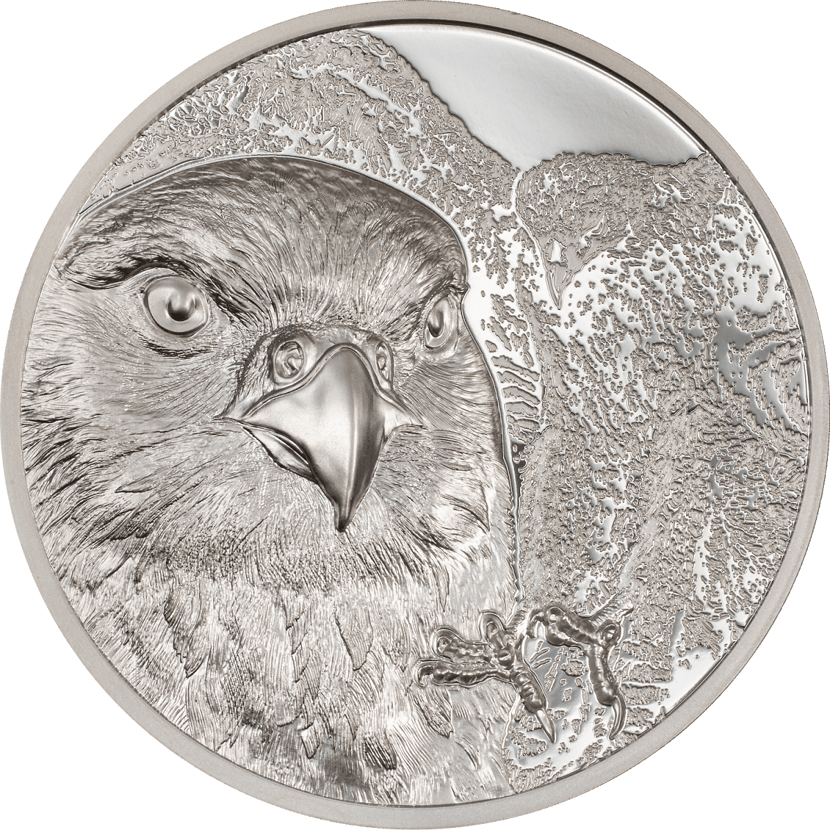 2023 CIT Wild Mongolian Falcon 1 oz Ultra High Relief Proof Silver Coin ...