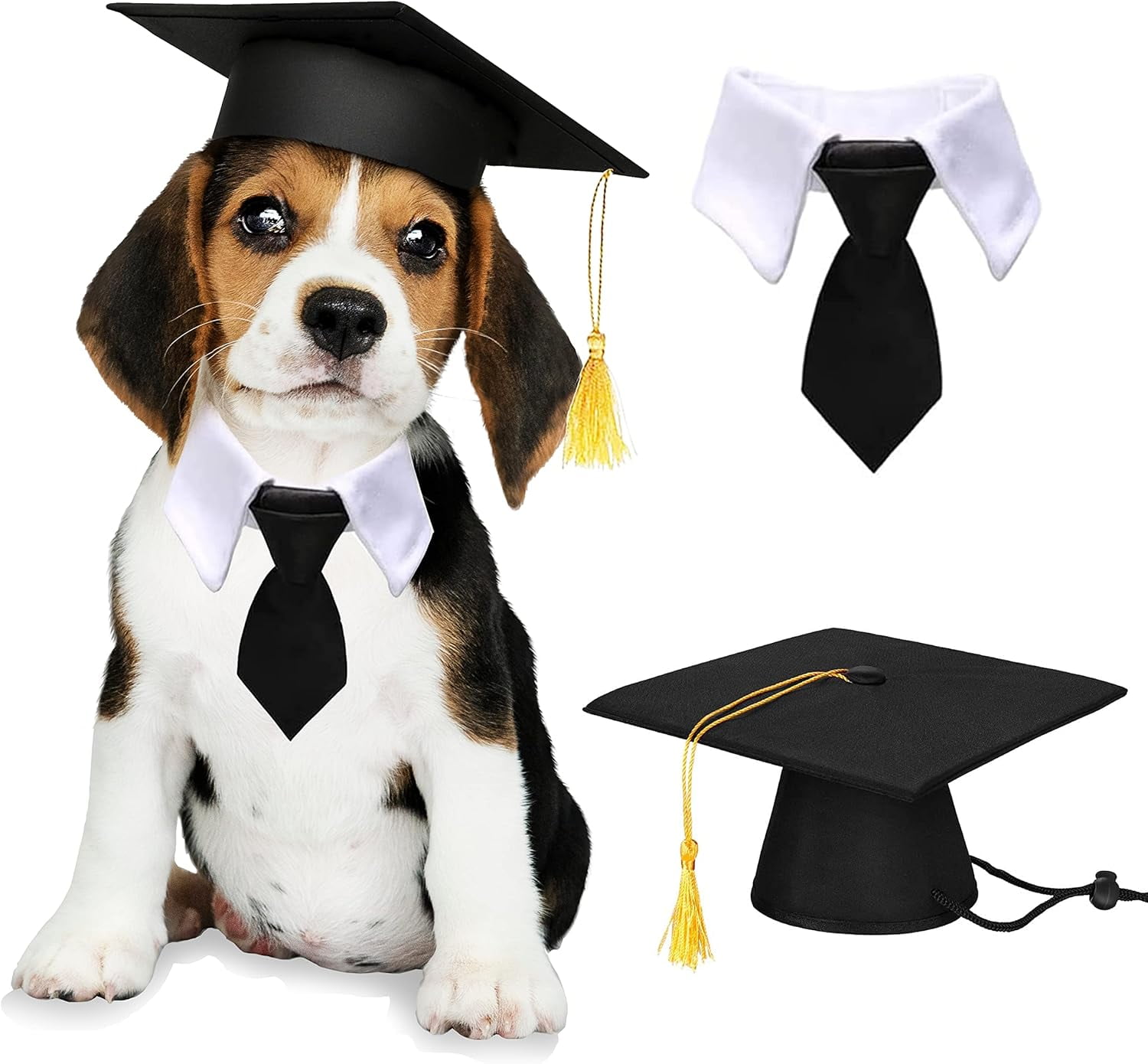 2023 Graudation Dog Cat Cap and Necktie Set, Graduation Costumes for ...