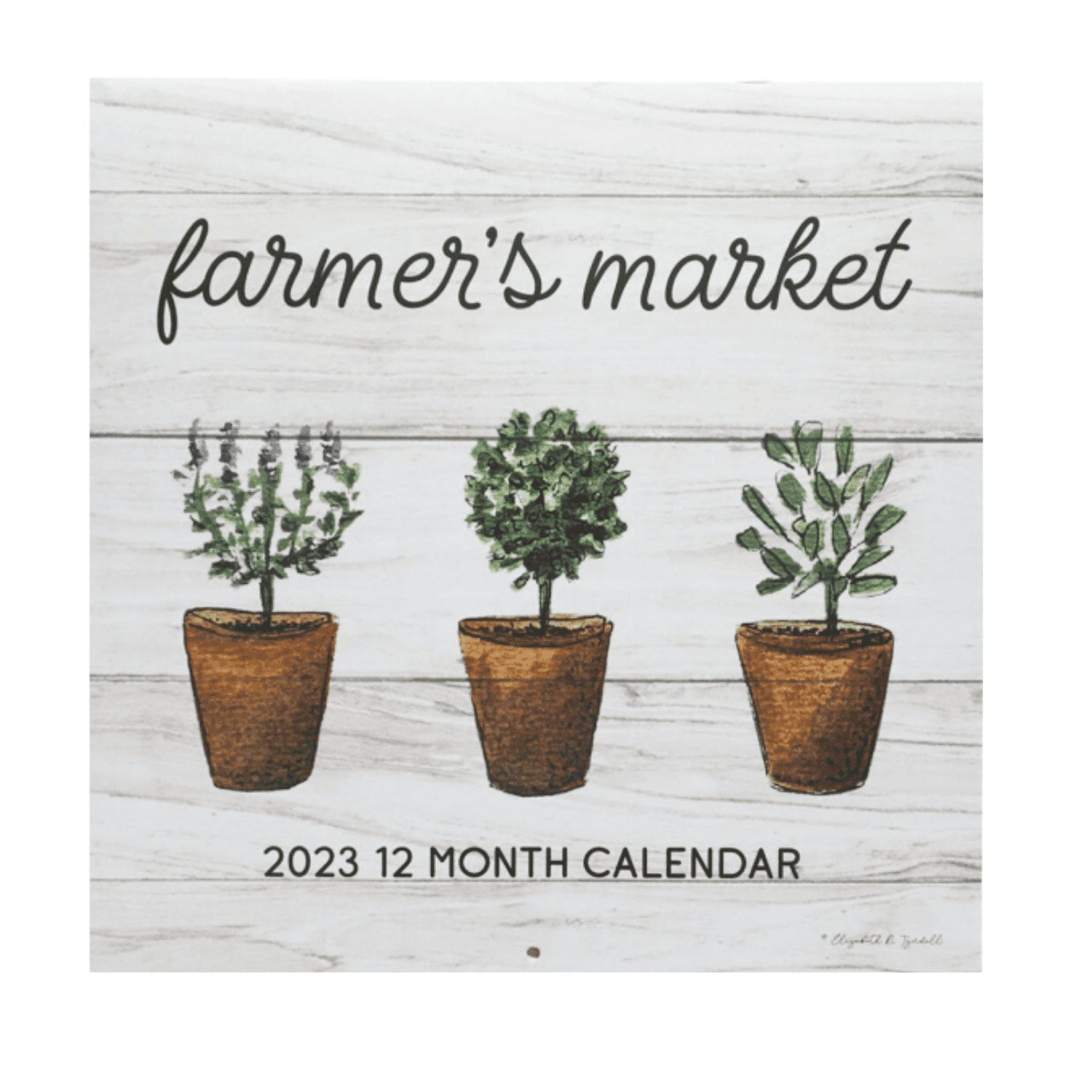 2023 Illustrated Wall Calendars 11x11in Thick Paper 12-Month Calendar ...