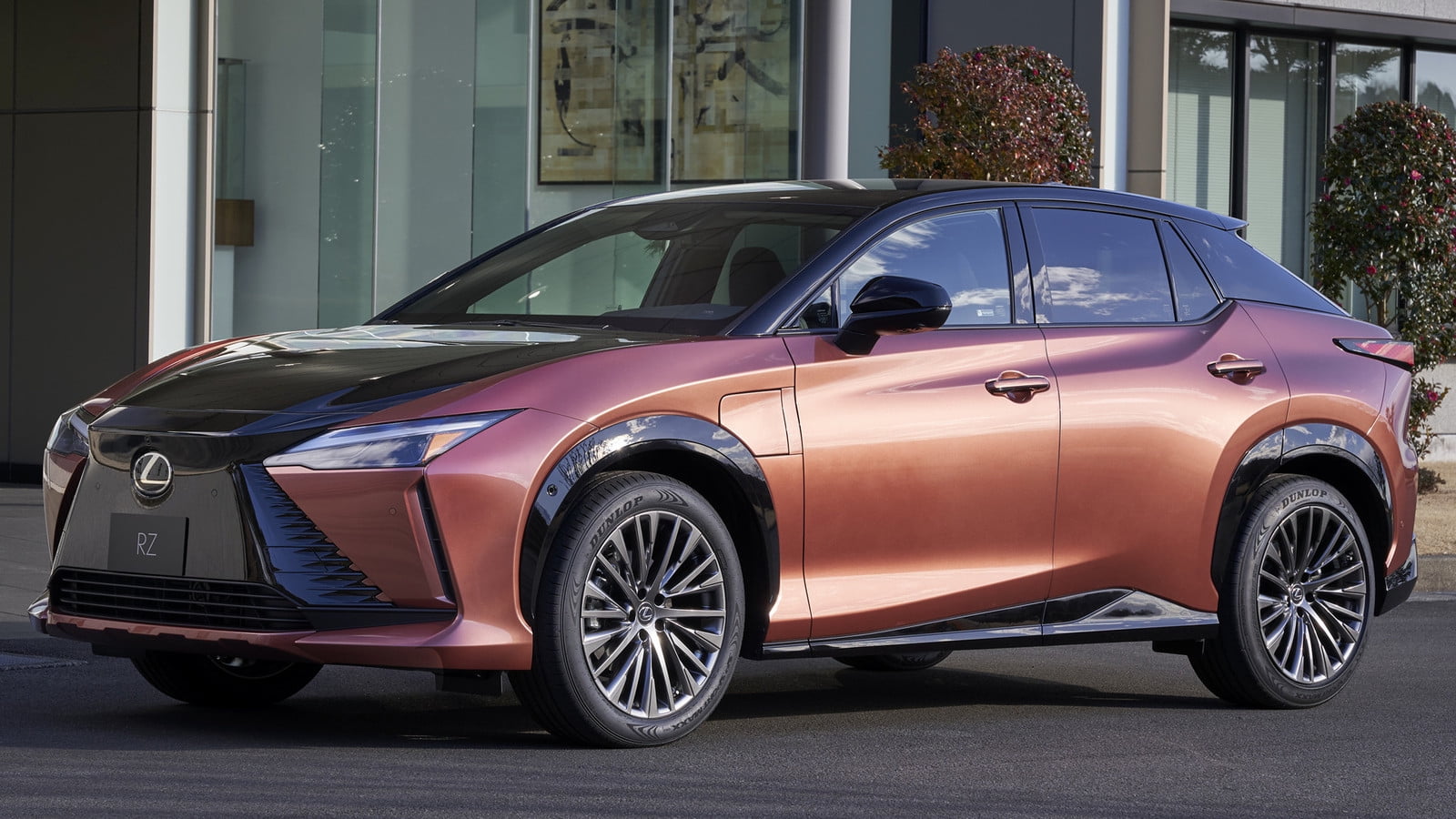 2023 Lexus RZ - 20x30 Inch Glossy Laminated Poster - Stunning Detail ...