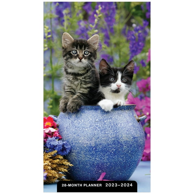 2023 Pocket Planner - Kittens- 3.62 xx 6.5" - 2 year Pocket Planner by ...