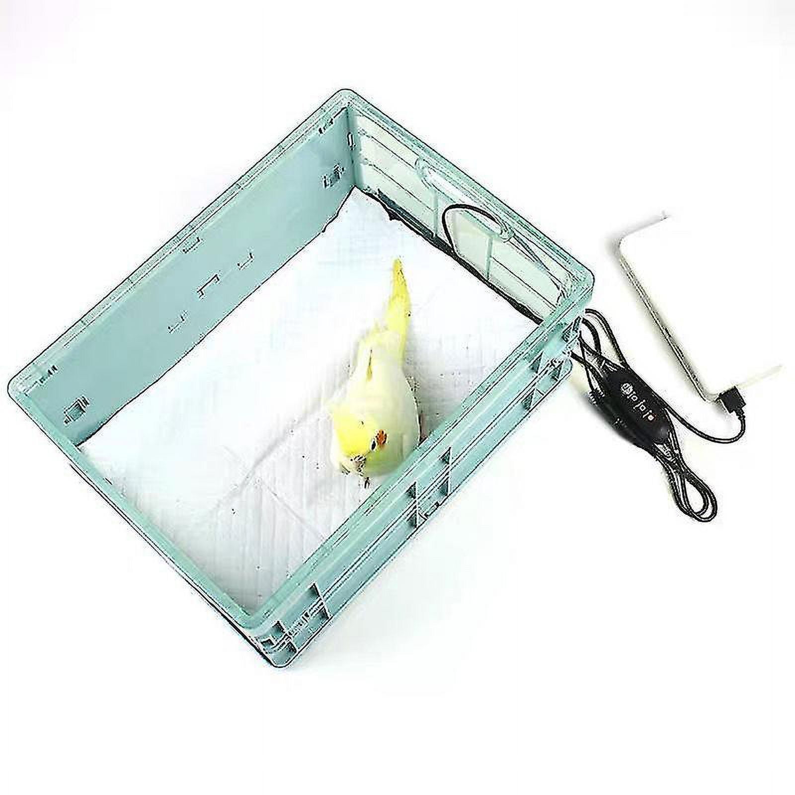2024 1 Set Plastic Parrot Incubator Young Birds Hatch Box Parrot Brood ...
