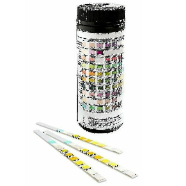 2024 100 X Urine Test Strips 10 Parameter Urine Reagent Tests Diabetes ...