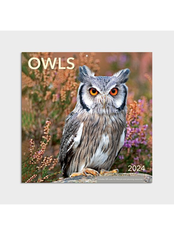 Calendars in Calendars and Planners - Walmart.com