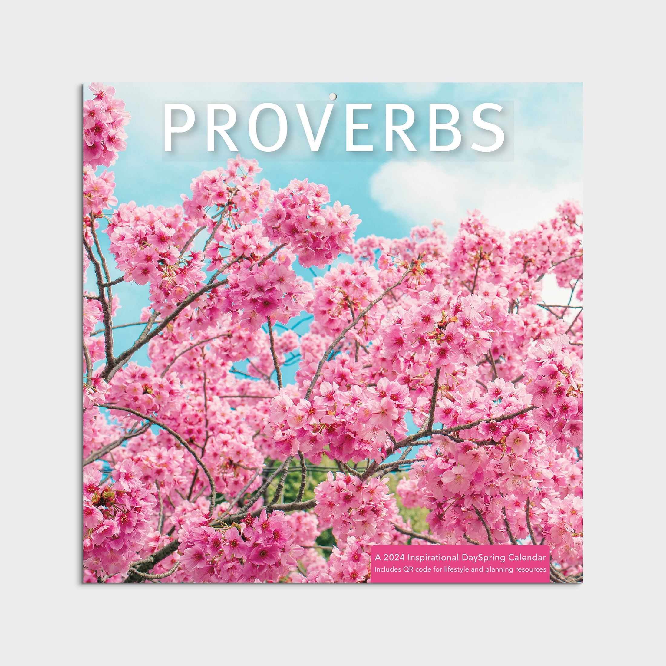 DaySpring 2024 12-Month Proverbs Wall Calendar, 12x12 Hanging, Bible ...