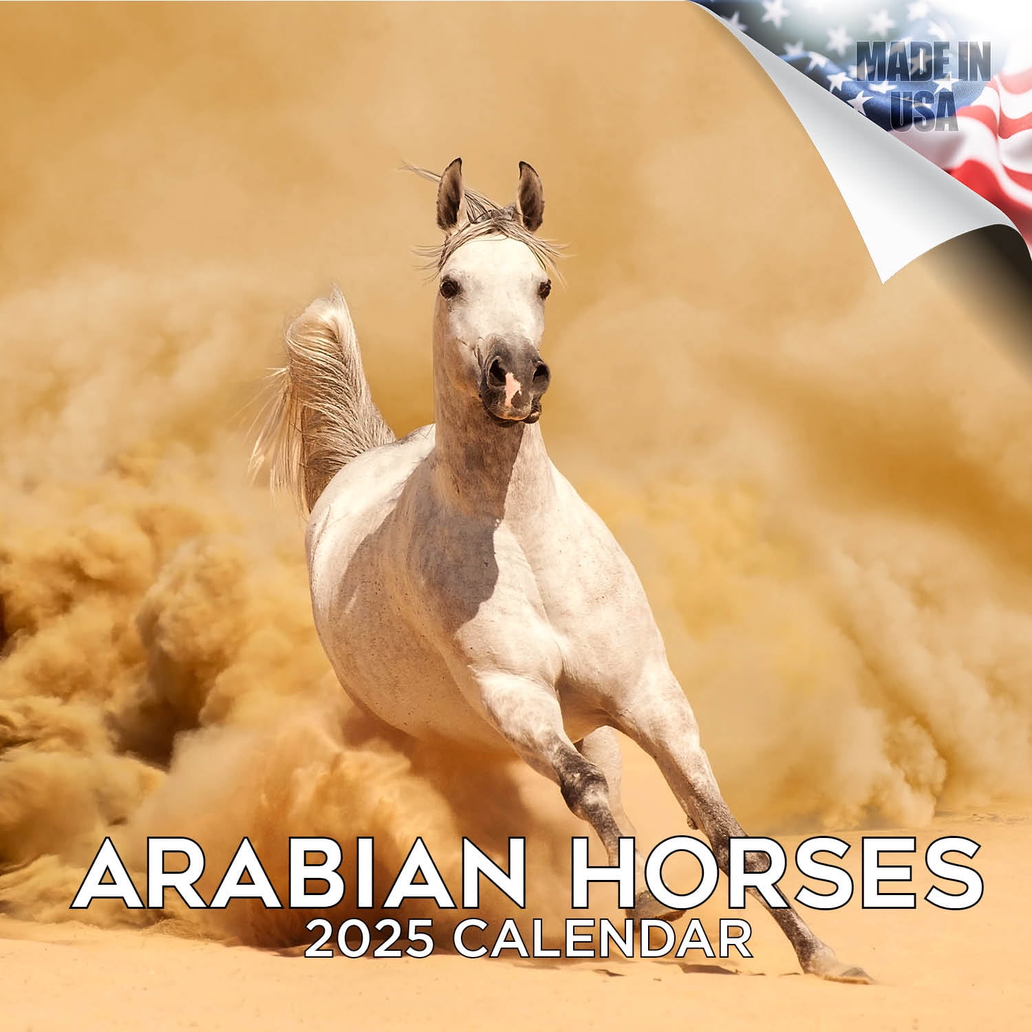 2025 2026 Arabian Horses Calendar - Equestrian Monthly Wall Calendar ...