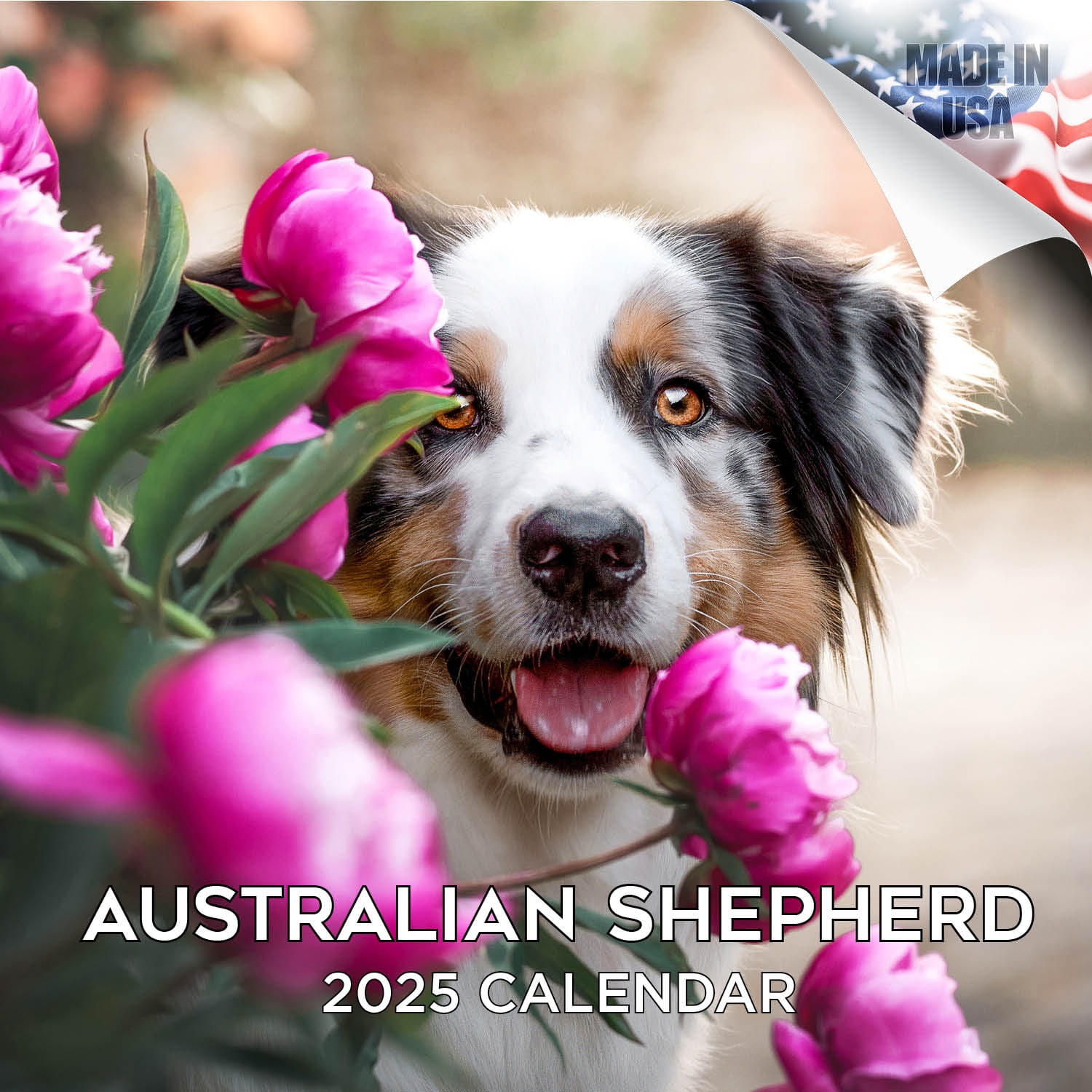 2025-2026 - American Staffordshire Terrier Monthly Planner, Large ...