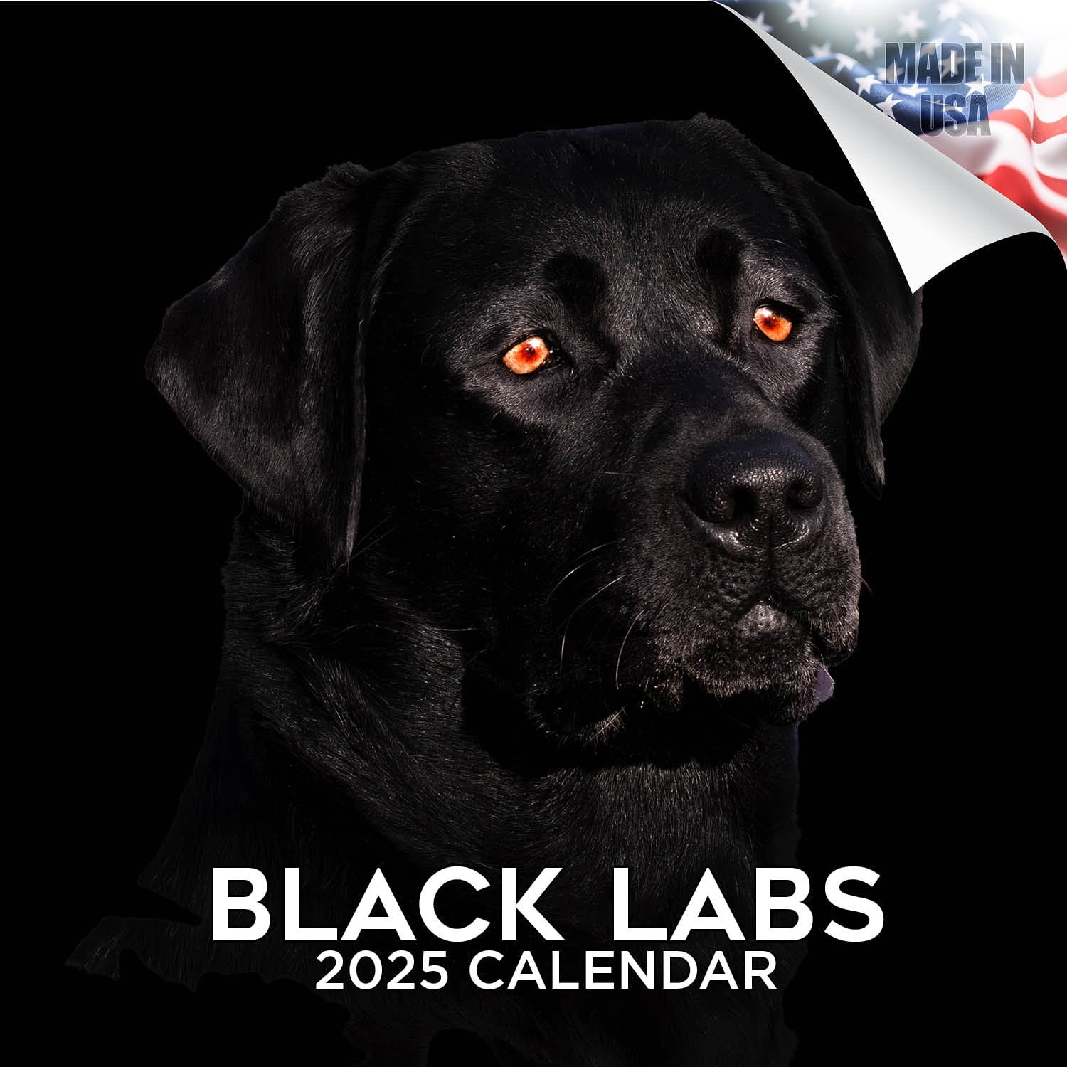 2025 2026 Black Labrador Calendar - Dog Breed Monthly Wall Calendar ...