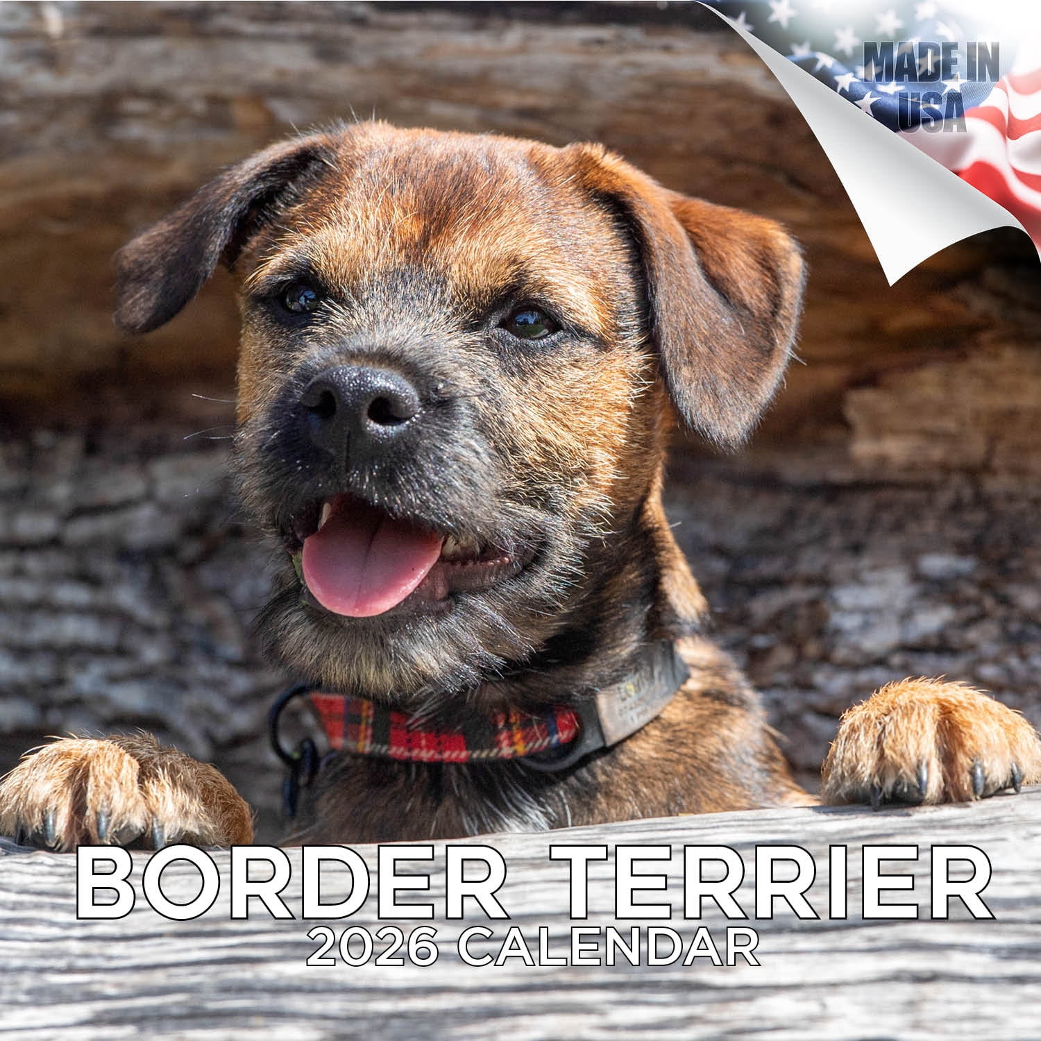 2025 2026 Border Terrier Calendar - Dog Breed Monthly Wall Calendar ...
