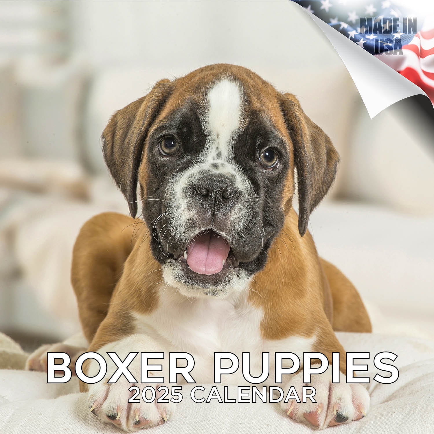 2024 2025 Boxer Puppies Calendar - Dog Breed Monthly Wall Calendar - 12 ...