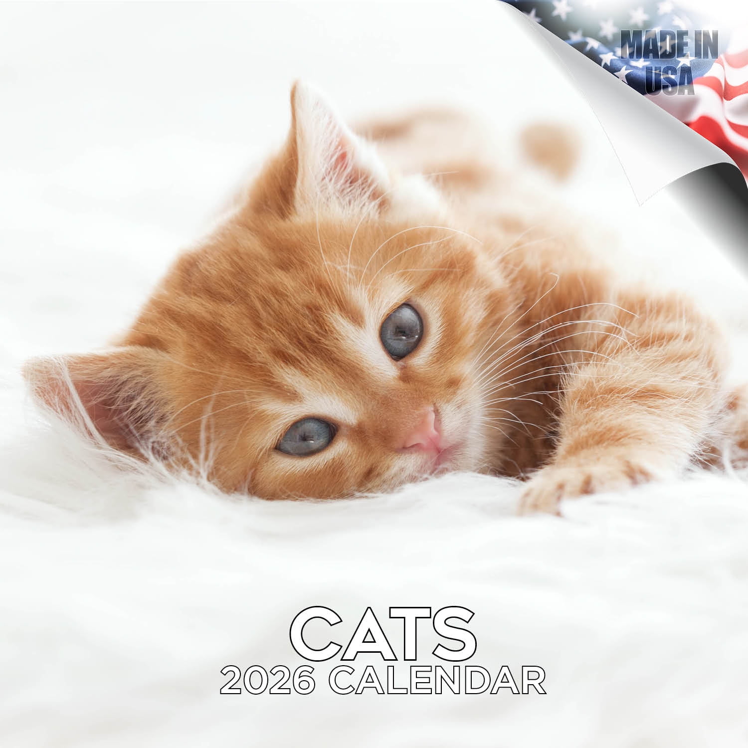 2025 2026 Cats Calendar - Cute Animal Monthly Wall Calendar - 12 x 24 ...