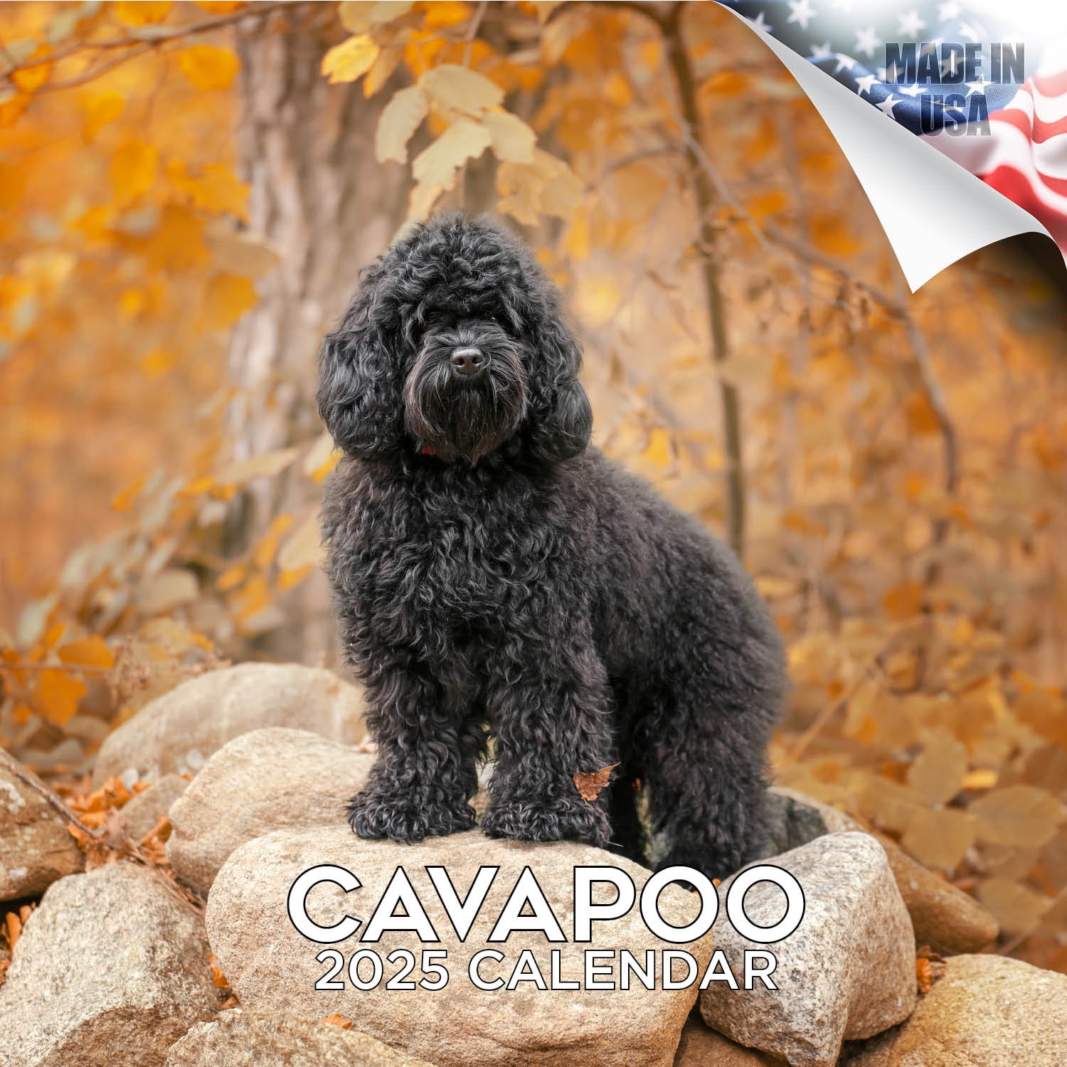 2024 2025 Cavapoo Calendar - Dog Breed Monthly Wall Calendar - 12 x 24 ...
