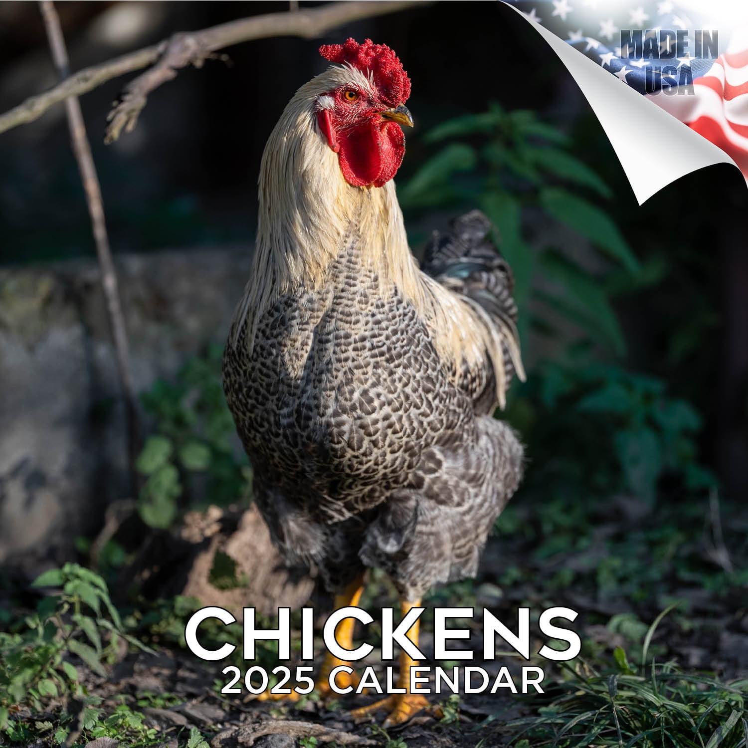 2024 2025 Chickens Calendar - Wildlife Monthly Wall Calendar - 12 x 24 ...