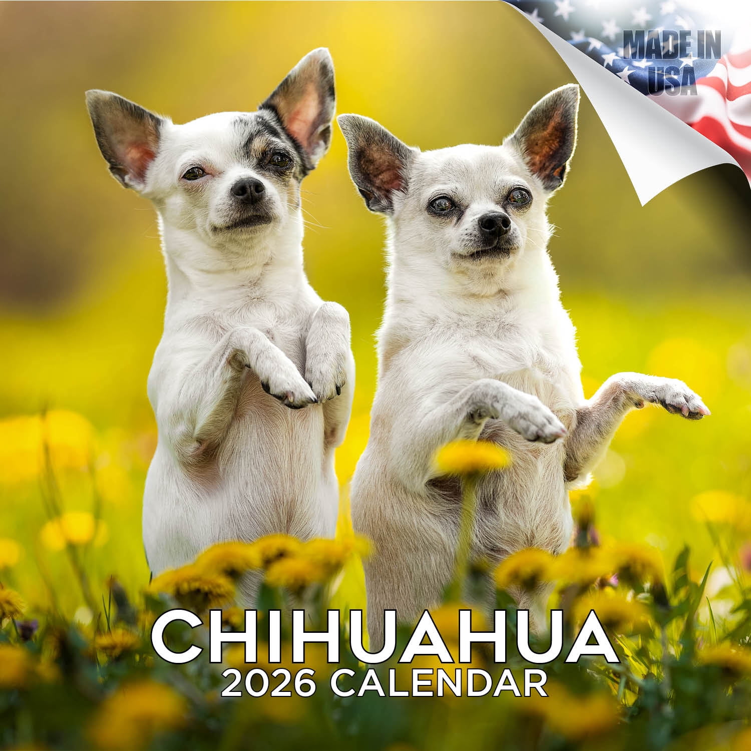 MegaCalendars 2024-2025 Chihuahua Calendar, 12x24, Monthly Wall Planner ...