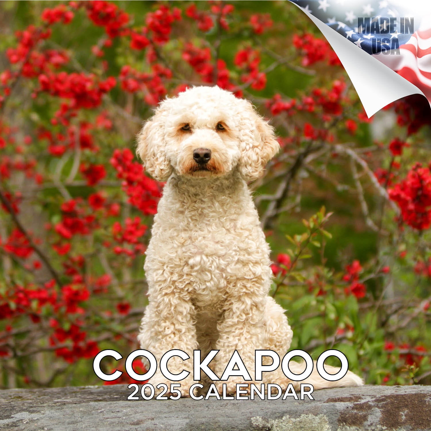 2025 2026 Cockapoo Calendar - Dog Breed Monthly Wall Calendar - 12 x 24 ...