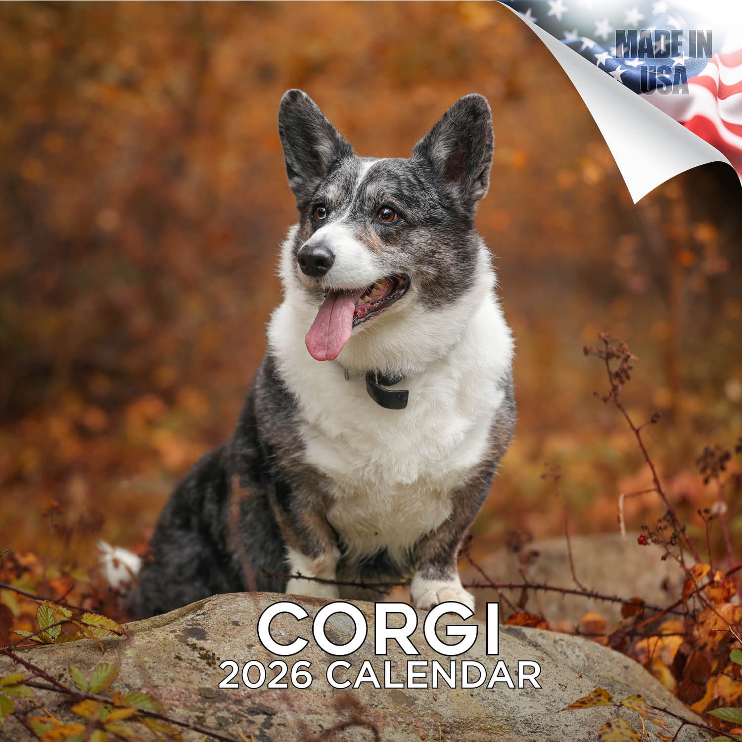 2025 2026 Corgi Calendar - Dog Breed Monthly Wall Calendar - 12 x 24 ...