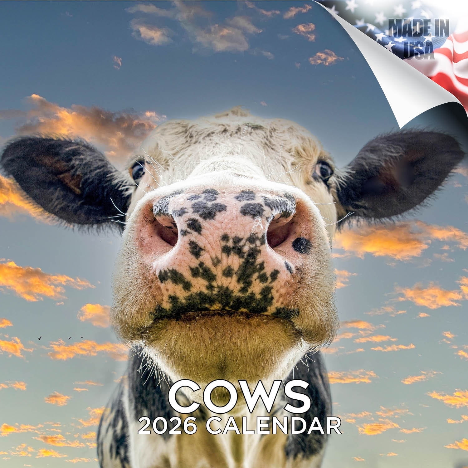 2025 2026 Cows Calendar - Wildlife Monthly Wall Calendar - 12 x 24 Open ...